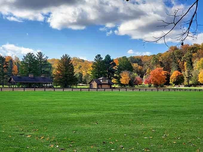 Rolling green fields framed by autumn's finest color palette, this Metroparks view is worth every leaf-peeping mile.