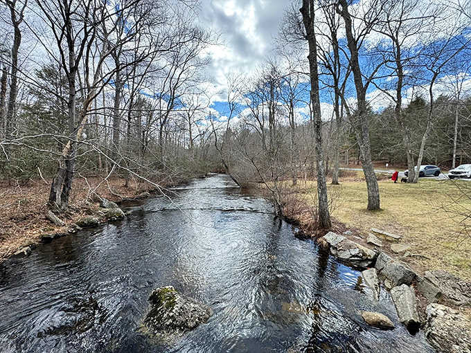 Chapman Brook meanders peacefully through the park, giving no hint of the spectacular drop waiting just downstream.