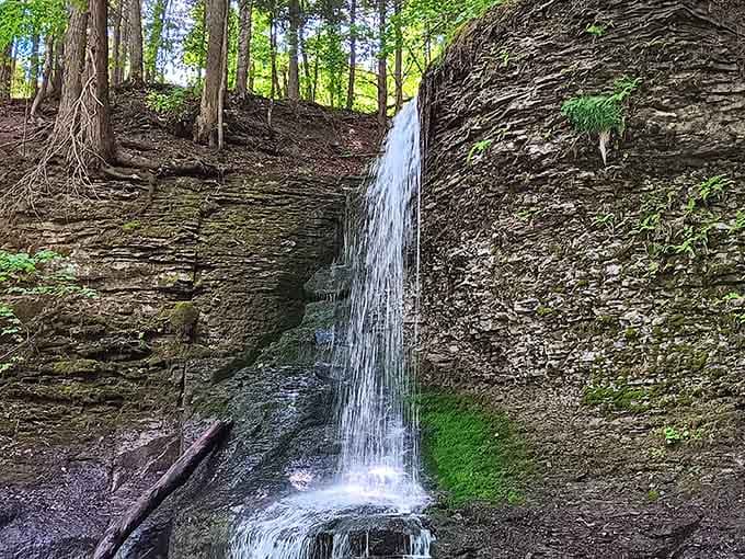 The gorge is full of smaller cascades that would be headliners anywhere else but play supporting roles here.