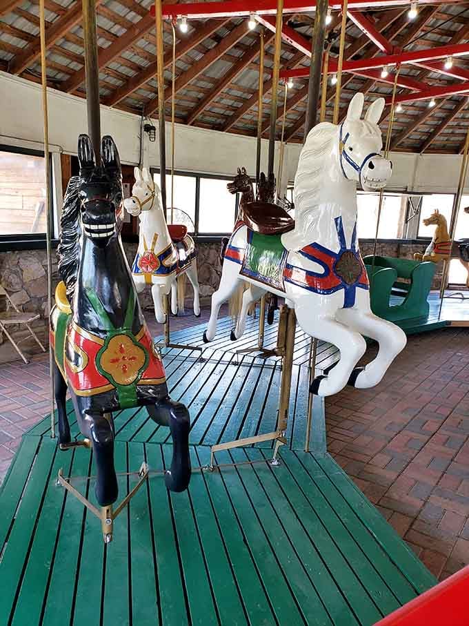 Each horse sports its own unique personality, making the selection process surprisingly important and delightful.