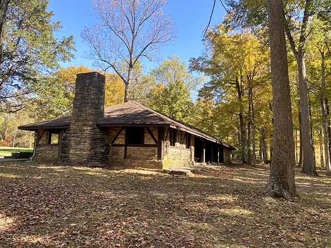 This rustic shelter proves that sometimes the best room service is just peace, quiet, and a good view.
