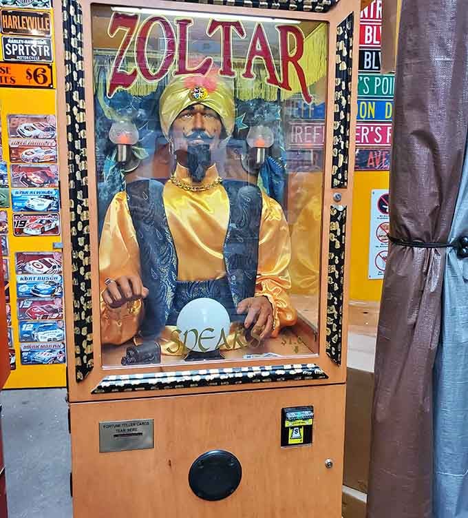 Zoltar awaits your quarter, ready to dispense fortune-telling wisdom that's probably more accurate than your weather app anyway.