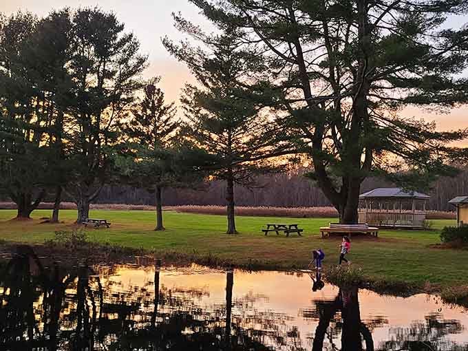 Ruby & Elizabeth Cohen Woodlands at sunset looks like a screensaver, except you can actually walk through it.