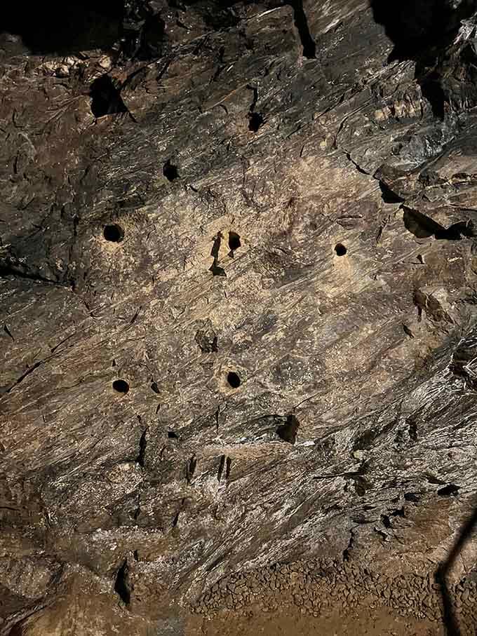 Those drill holes tell the story of patient, methodical work&mdash;miners creating their own path to possibility.