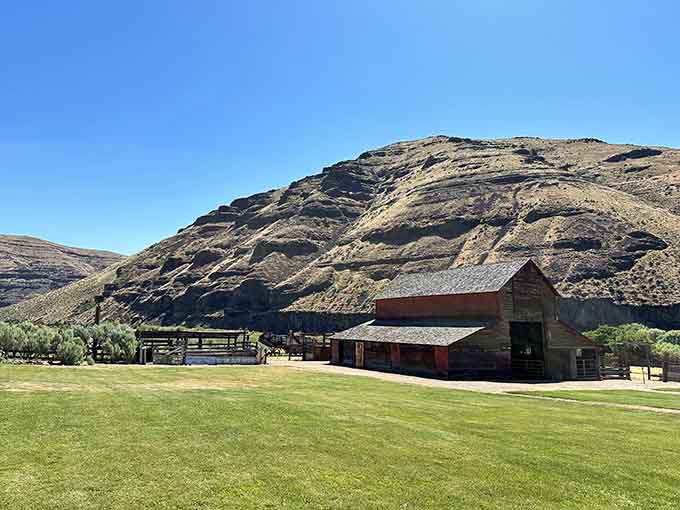 Historic ranch buildings tell stories of Oregon's frontier past, standing sentinel against those dramatic canyon walls.