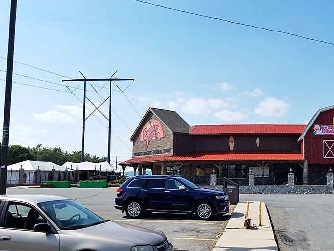 The parking lot sprawls wider than some small towns, giving you fair warning about the retail marathon ahead of you.