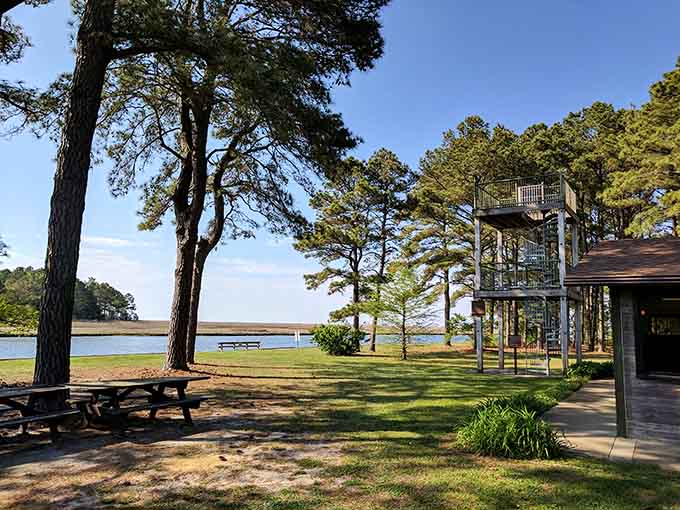 Janes Island State Park's observation tower offers views that remind you why people fall in love with the Chesapeake Bay region.
