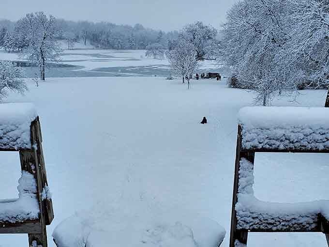 Winter transforms the park into a snow globe scene, minus the shaking and the tiny plastic figurines.