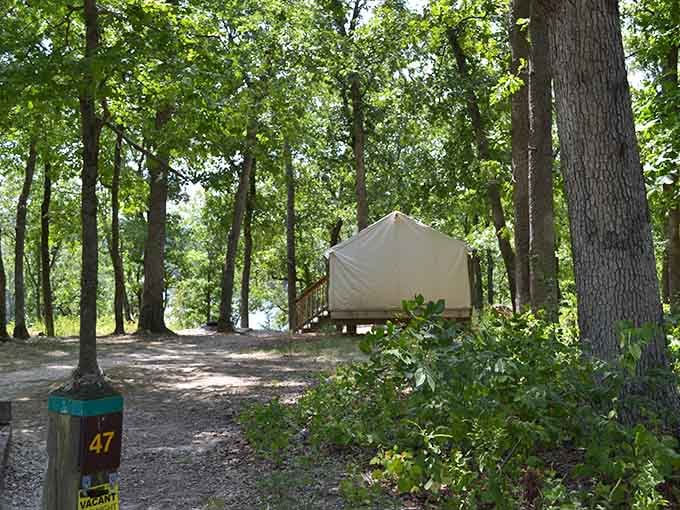 Glamping meets genuine camping with this canvas tent tucked among the oaks, offering comfort without sacrificing the experience.
