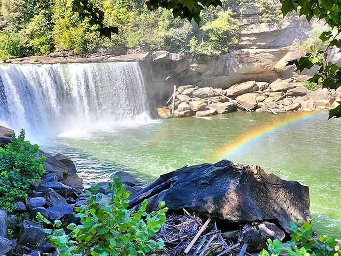 Mother Nature's light show includes complimentary rainbows when conditions align&mdash;no ticket required, no lines to wait in.