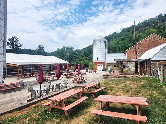 Farm-fresh brewery vibes meet mountain air at this converted silo, where picnic benches promise lazy afternoon contentment.