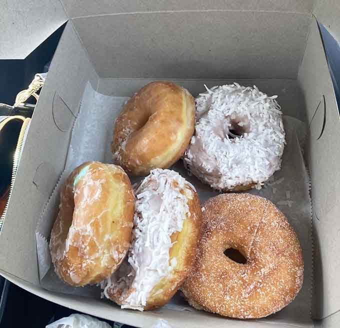 This box holds more joy than most people experience all week: glazed, coconut-covered, and cinnamon-sugar happiness awaits.