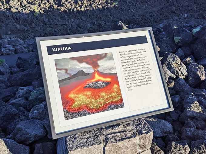 Learning about kipuka while standing on actual moon-training ground makes science class suddenly seem way cooler.