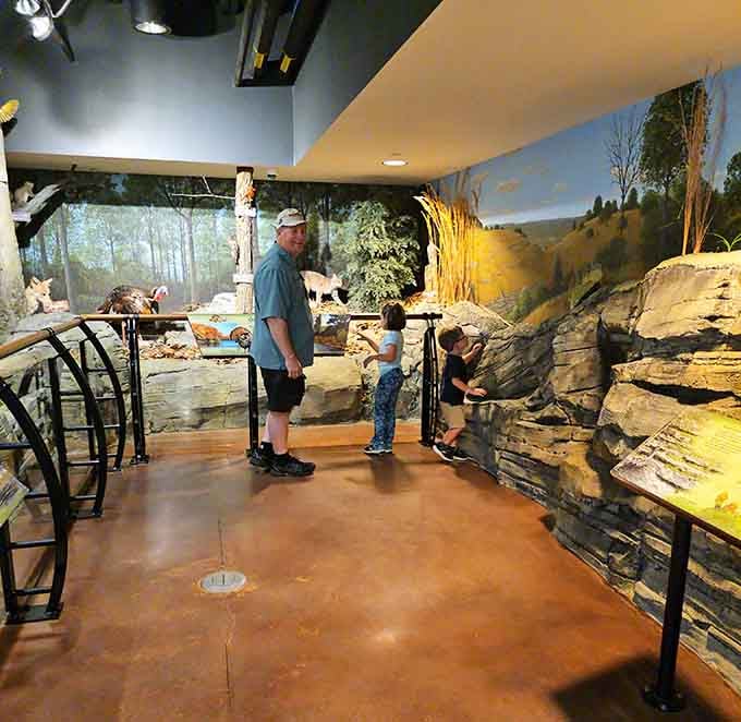 Interactive exhibits keep curious minds engaged while parents catch their breath and enjoy those million-dollar views.