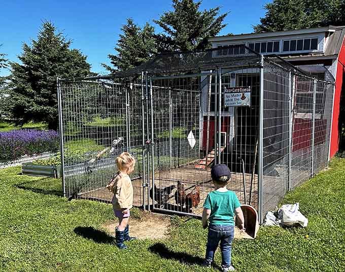 Young explorers discovering that farm animals are way more interesting than any tablet screen.