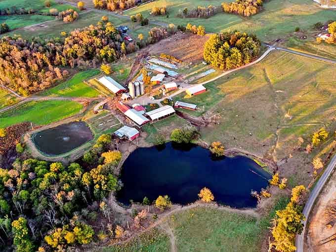 Hickory Hill Milk's farm spreads across the landscape like a postcard from a simpler time, complete with actual cows.