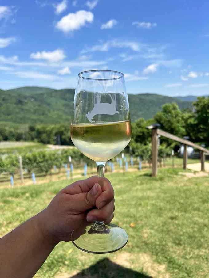 That first sip with vineyard rows and mountains framing the moment, this is what weekends were invented for.