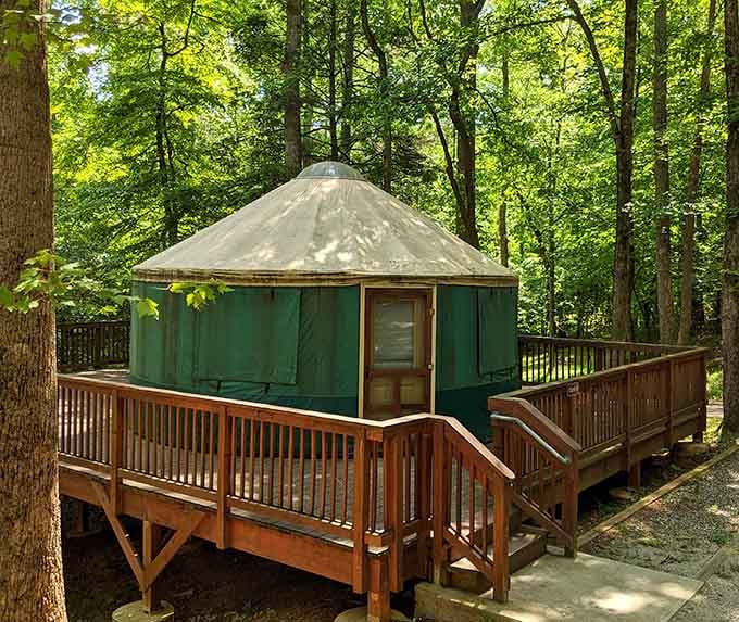 Yurt life offers all the camping glory with actual walls, because roughing it has limits.