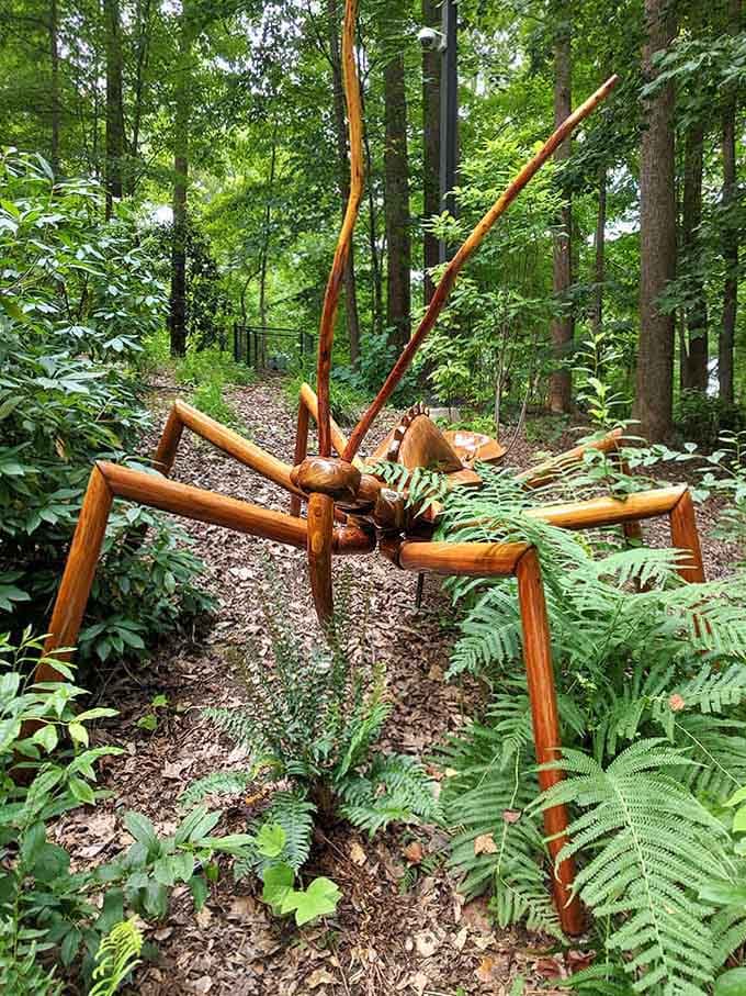 A giant insect that won’t bite you is the best kind of insect, especially when it’s this photogenic.