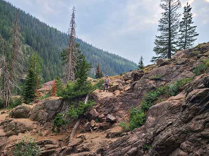 Rocky terrain builds character, or at least gives you something to talk about at dinner later tonight.