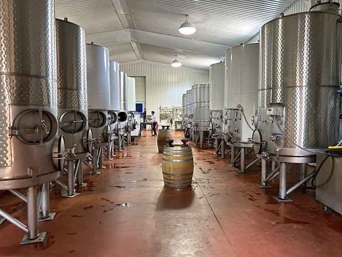 Stainless steel tanks standing at attention, transforming humble grapes into liquid poetry.