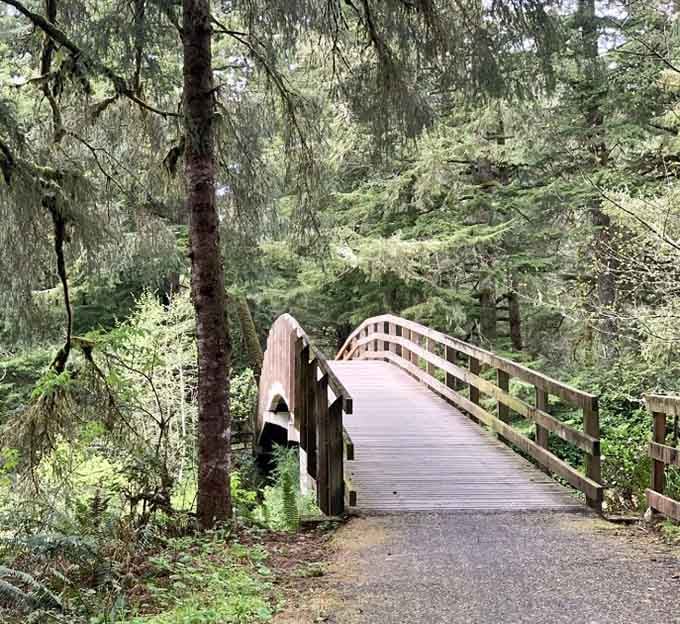 This charming wooden bridge proves that not everything at Fort Stevens is trying to remind you about mortality and decay.