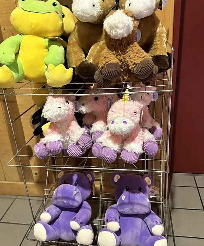 Stuffed animals in every color imaginable, proving that comfort and cuteness never go out of style regardless of age.