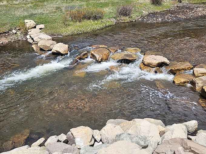 The nearby creek flows with purpose, carrying mineral-rich water downstream like nature's own delivery service in action.