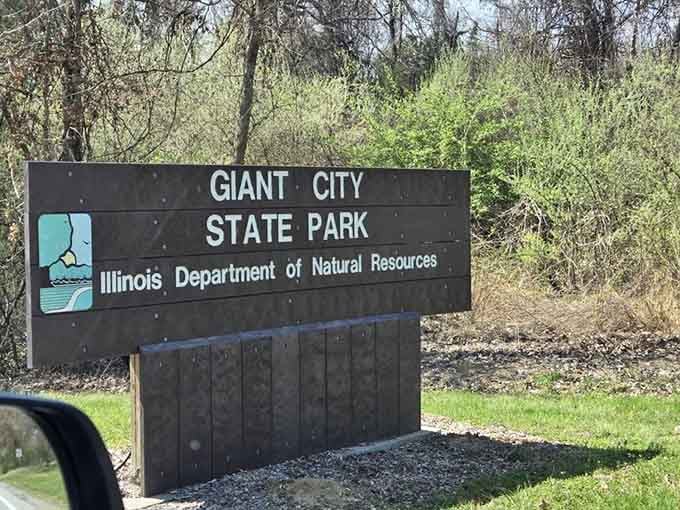 You've arrived at proof that Illinois has way more personality than anyone gives it credit for having.
