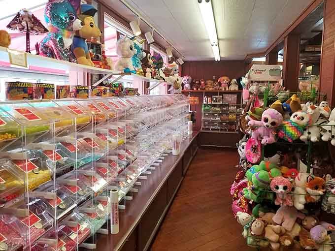 Because sometimes you need a plush friend to keep you company while you contemplate your candy purchases.