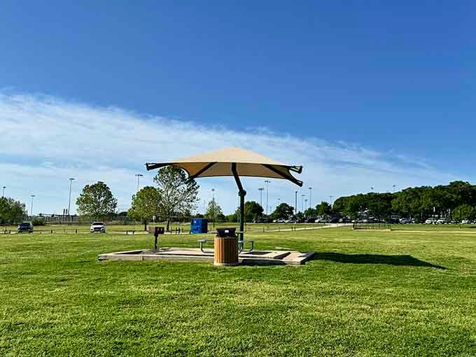 That shade canopy knows its purpose: protecting picnickers from the Texas sun like a faithful friend.