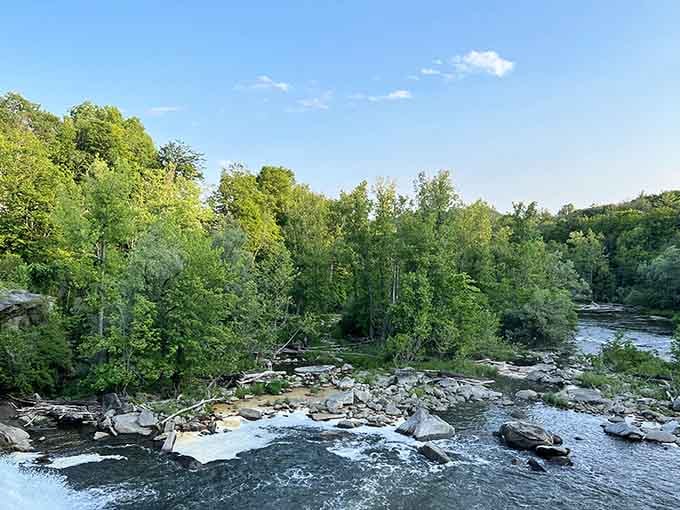 The surrounding forest provides a green cathedral that makes you forget civilization exists nearby.