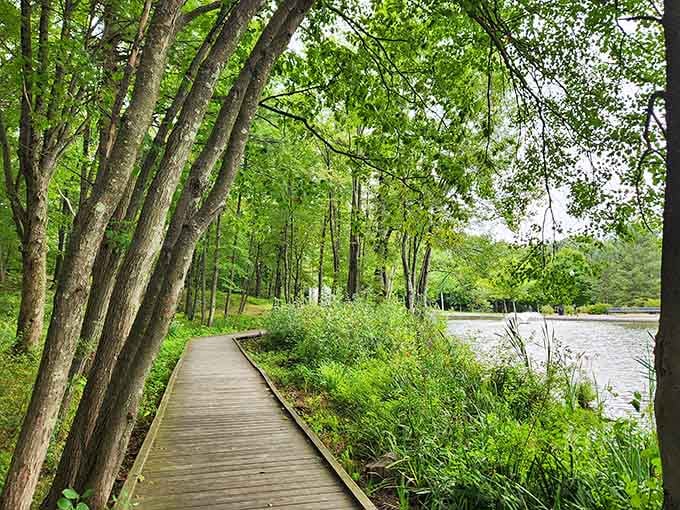 Wooden boardwalks along the water's edge make you feel like you're somewhere far more exotic than central Massachusetts, honestly.