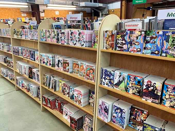 Even manga gets its moment in this wonderfully eclectic collection of illustrated storytelling.