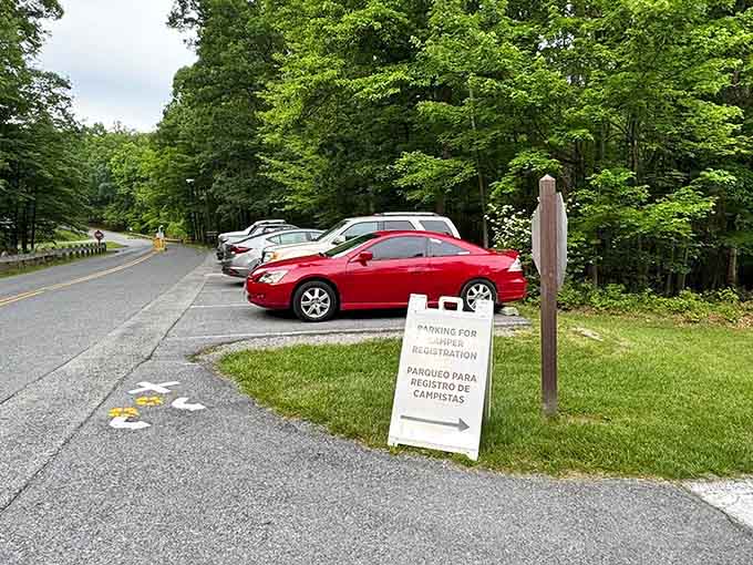 Even the parking area looks inviting, which is saying something since most parking lots have the charm of a dentist's waiting room.