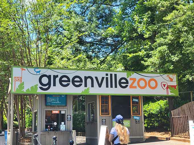 The Greenville Zoo entrance welcomes families to a perfectly sized animal adventure that won't require a second mortgage.