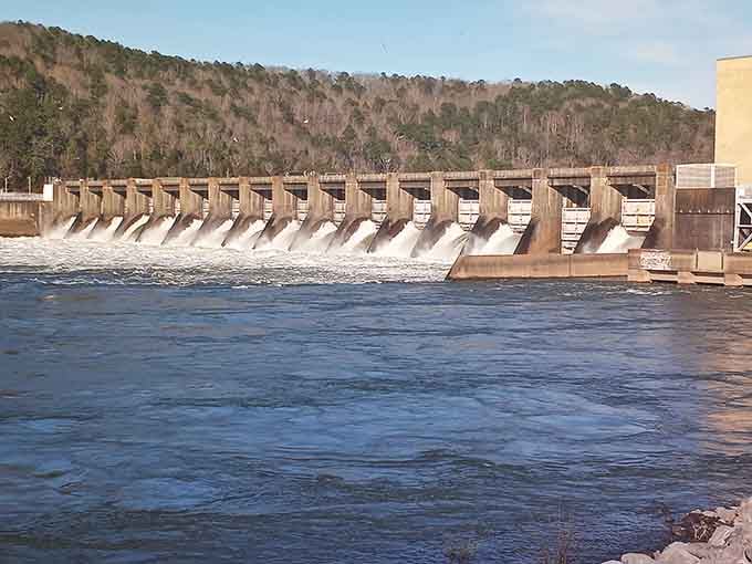 Guntersville Dam controls the mighty Tennessee River, creating the aquatic playground that makes this whole adventure possible in the first place.