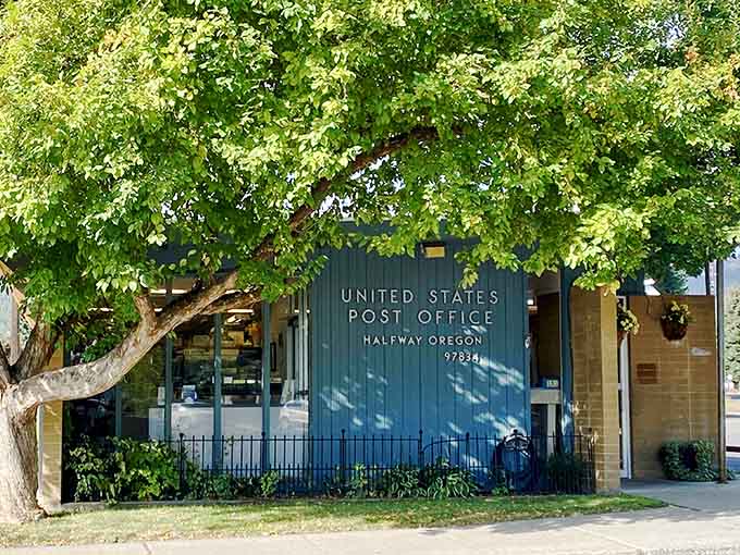 Even the post office has character here, shaded by trees and serving a community that still values connection.