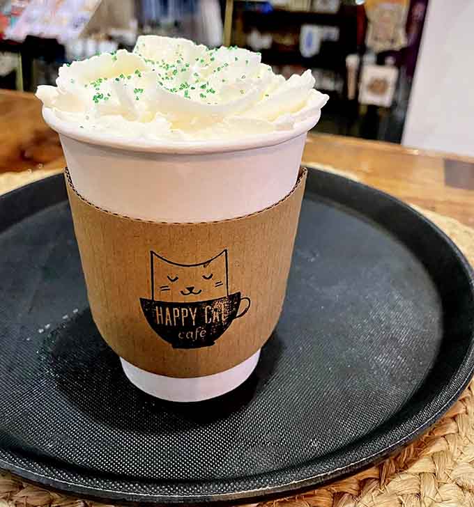 Whipped cream piled high on hot chocolate, because sometimes you need dessert disguised as a beverage option.