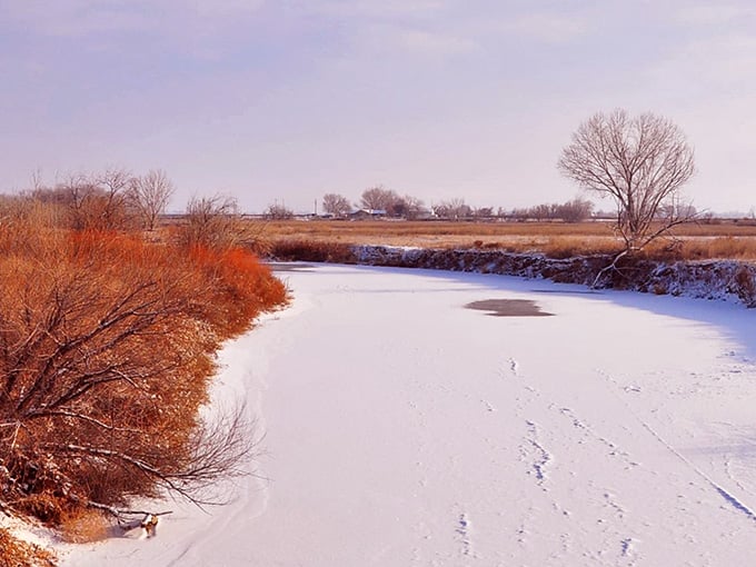 Winter transforms the landscape into something from a Narnia book, minus the talking lions and Turkish delight.