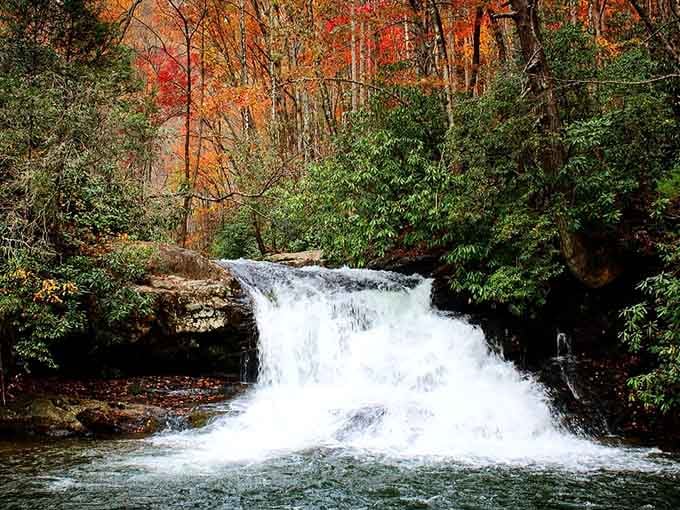 Fall colors frame the rushing waters like nature hired its own interior designer for maximum impact.