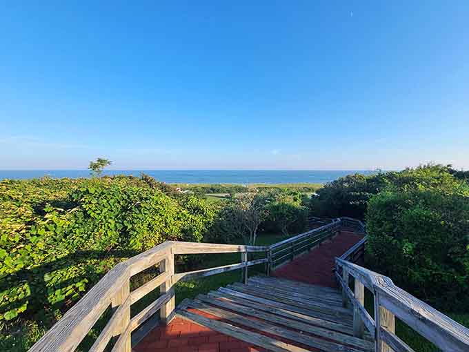 This boardwalk leads to views that'll make your daily commute seem even more depressing by comparison.