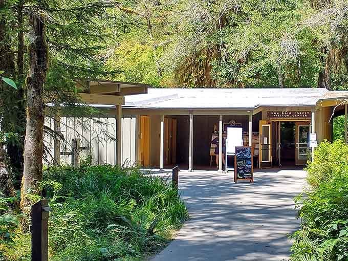 The visitor center sits nestled among towering trees, your launching pad for exploring this verdant paradise.