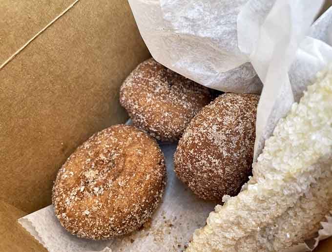 These cider donuts wear their cinnamon-sugar coating like they're headed to the fanciest autumn party.