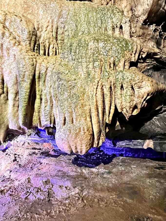 Stalactites reaching down like nature's own chandelier, proving caves have better interior design than most Manhattan apartments.