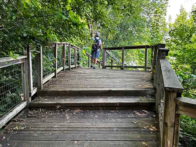 Wooden boardwalks lead adventurers deeper into landscapes that make everyday worries feel wonderfully insignificant and small.