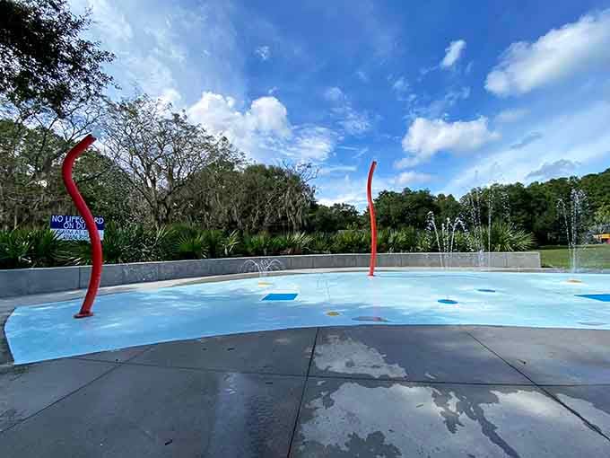 The splash pad delivers gentle water fun for the littlest visitors still testing their aquatic confidence levels.
