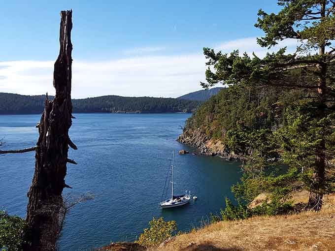 Sailboats anchor in protected coves where the only traffic jam involves seals and kayakers.