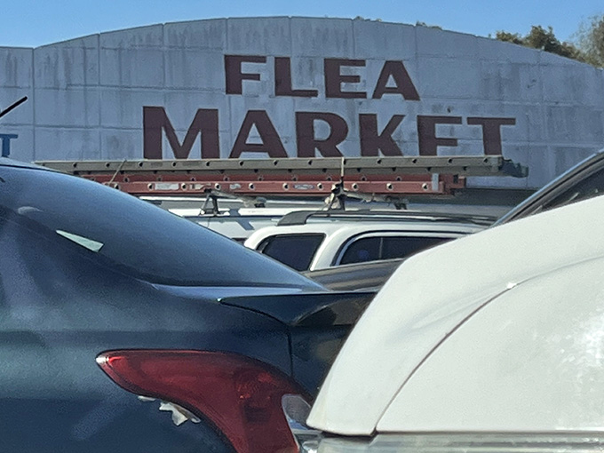 Classic car fins in the parking lot suggest the clientele appreciates quality craftsmanship, whether vintage or contemporary.