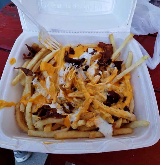 Golden fries topped with melted cheese and bacon bits transform a side dish into the main event of your afternoon.